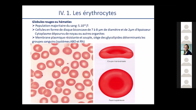POD - UVSQ - Éléments Figurés Du Sang 2/2